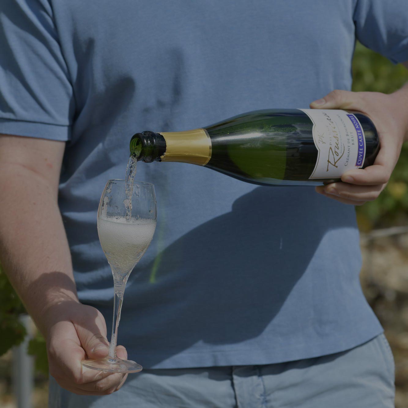 Venez découvrir le domaine - Domaine Pierre Rousseau